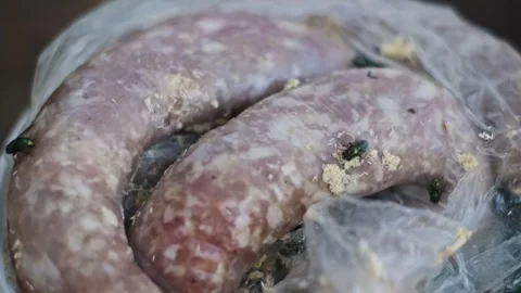 Maggots Infesting Spoiled Sausages | Stock Video | Pond5