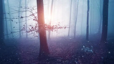 Magic Transition Stock Footage ~ Royalty Free Stock Videos | Pond5