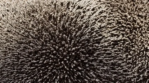 Electricity Texture Stock Video Footage | Royalty Free Electricity ...