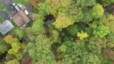 Magnificent top view of tree tops during... | Stock Video | Pond5