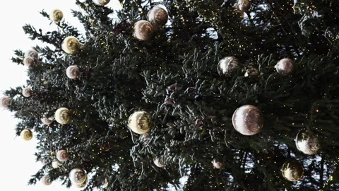Main Christmas tree Town Square decorate... | Stock Video | Pond5