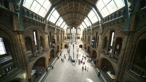 main hall of Natural History Museum with... | Stock Video | Pond5