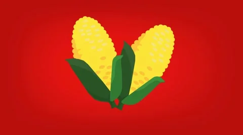 Maize - Vector Graphics - Food Animation... | Stock Video | Pond5