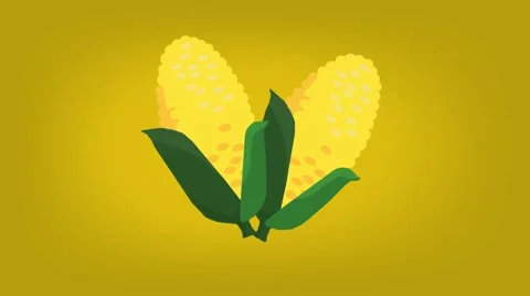 Maize - Vector Graphics - Food Animation... | Stock Video | Pond5