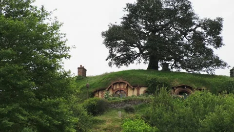 Majestic oak tree overlooking the Hobbit... | Stock Video | Pond5