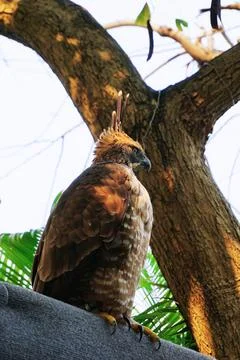 Stock Photos by Nj51563 | Official Pond5 Storefront