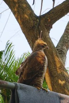 Stock Photos by Nj51563 | Official Pond5 Storefront