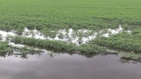 Major flooding of farm fields full of cr... | Stock Video | Pond5