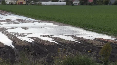 Major flooding of farm fields full of cr... | Stock Video | Pond5