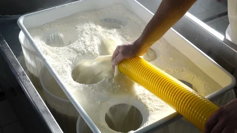 making ricotta cheese - Diary Cheese Fac... | Stock Video | Pond5