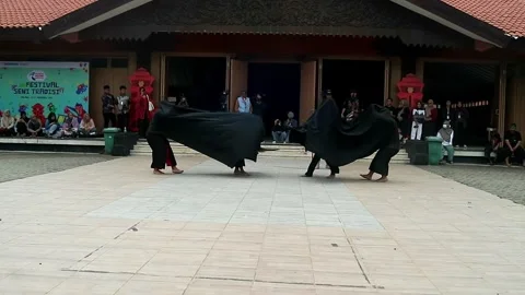 Show 2025 Carnaval Stock Videos – Royalty-Free HD & 4K Videos