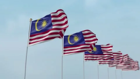 Malaysia Row Of Flags Animation | Stock Video | Pond5