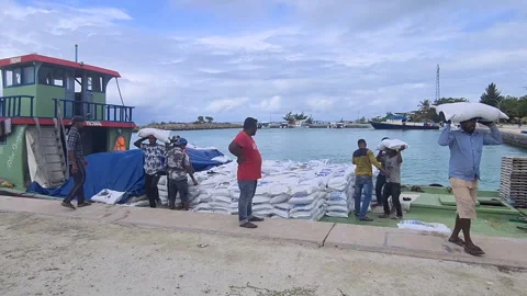 Maldives Island, Workers Unloading Shipm... | Stock Video | Pond5