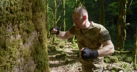 male boxer training in the forest, boxin... | Stock Video | Pond5