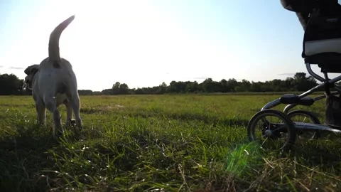 Daddy Foot Stock Videos – Royalty-Free HD & 4K Videos