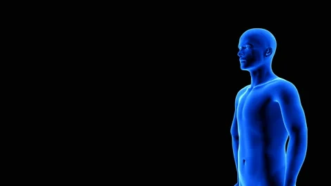 Male Body Animation Stock Video Footage | Royalty Free Male Body ...