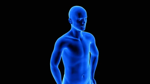 Male Body Animation Stock Videos – Royalty-Free HD & 4K Videos