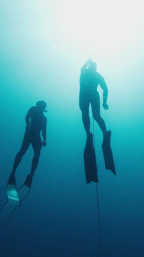 Male freediver ascending along the rope ... | Stock Video | Pond5