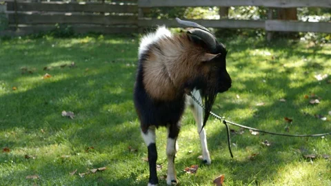 Land Mark Stock Video Footage | Royalty Free Land Mark Videos | Page 8