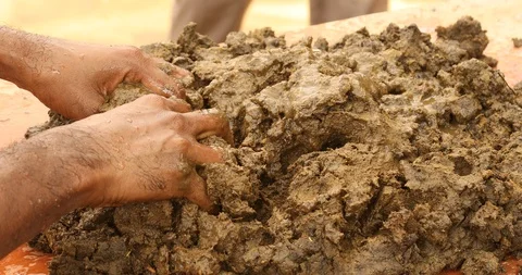 Cow Shit Stock Footage ~ Royalty Free Stock Videos | Pond5