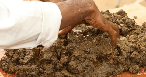 Cows Shitting Stock Video Footage | Royalty Free Cows Shitting Videos ...