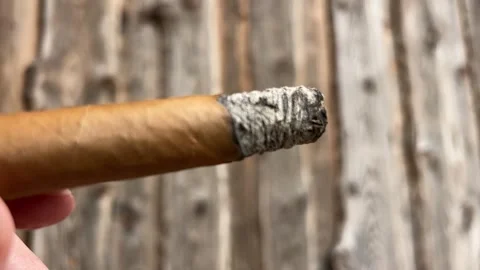 Woman Smoking Cigars Stock Video Footage | Royalty Free Woman Smoking Cigars Videos | Page 9