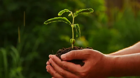 Still Holding Stock Videos – Royalty-Free HD & 4K Videos | Pond5