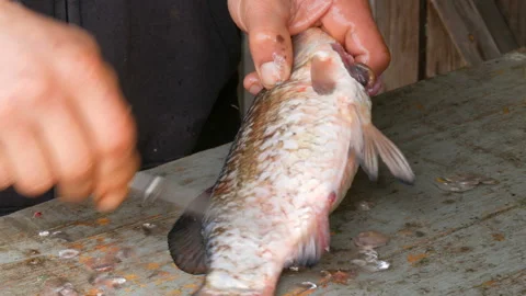 Male hands peeling fish scales on wooden... | Stock Video | Pond5