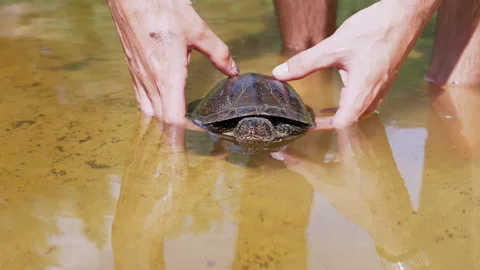 Fingers Caught Stock Videos – Royalty-Free HD & 4K Videos