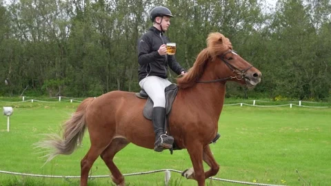 Male Horse M Stock Videos – Royalty-Free HD & 4K Videos | Pond5