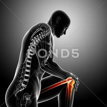 Male knee pain anatomy Stock Illustration ~ #38805052
