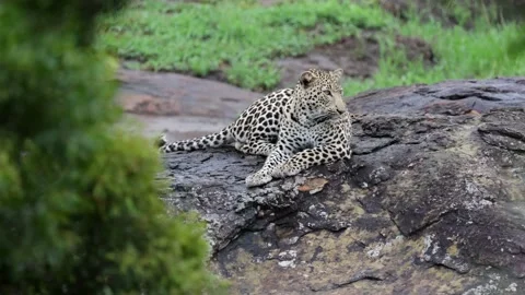 @Big Tik Tok Stock Videos – Royalty-Free HD & 4K Videos | Pond5