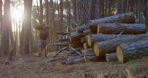 Male logger carrying wooden log in the f... | Stock Video | Pond5