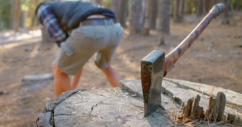 Male logger placing wooden log on a trun... | Stock Video | Pond5