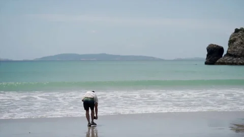 New Zealand Pictures Stock Videos – Royalty-Free HD & 4K Videos