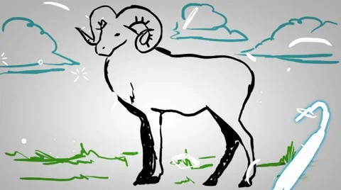 Male Sheep - Hand Drawn - Animation - o... | Stock Video | Pond5