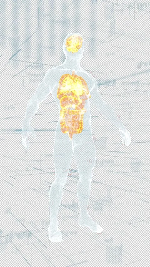 Body Scanner Video Stock Videos – Royalty-Free HD & 4K Videos | Page 3