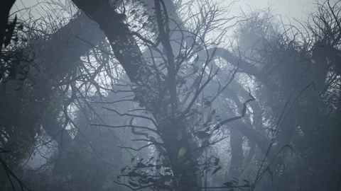Malformed Forest, Fearful, Horror, Trees... | Stock Video | Pond5