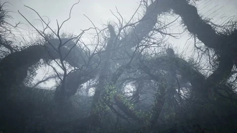 Malformed Forest, Frightening, Horror, T... | Stock Video | Pond5