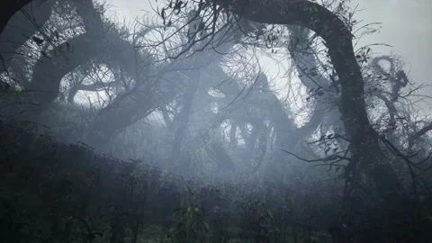 Malformed Forest, Scary, Horror, Trees, ... | Stock Video | Pond5