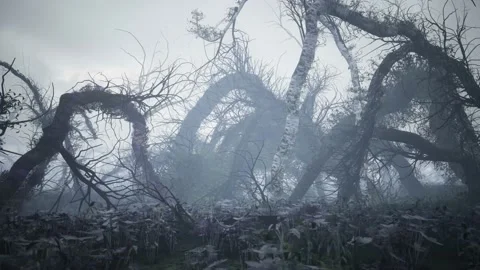 Malformed Forest, Terrifying, Horror, Tr... | Stock Video | Pond5