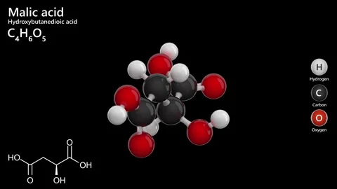 ¥E0O8Gxeqtr¥ Stock Videos – Royalty-Free HD & 4K Videos | Pond5