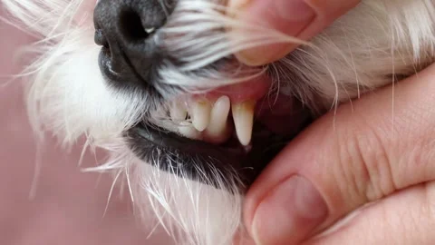 Calculus Stock Video Footage | Royalty Free Calculus Videos | Pond5