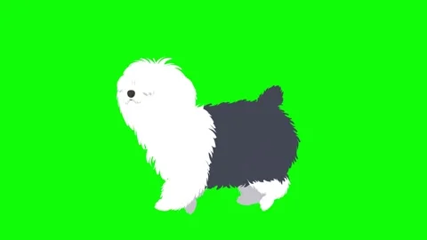 Streeet Walk Cycle Stock Videos – Royalty-Free HD & 4K Videos