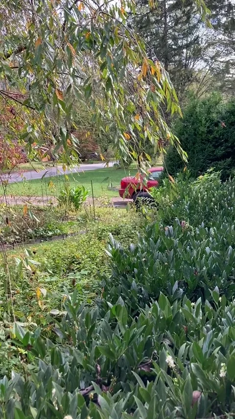 Play Mama Mama Stock Videos – Royalty-Free HD & 4K Videos | Pond5