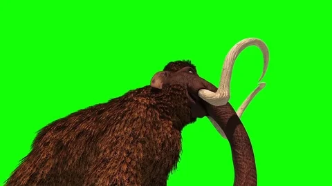 Prehistoric Animal Stock Video Footage | Royalty Free Prehistoric ...