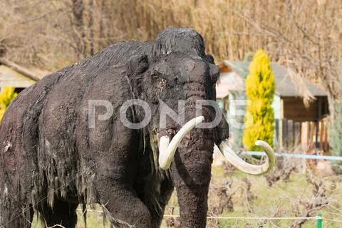 Photograph: Mammoth of the old ages model at the park of Dinosaurs in ...