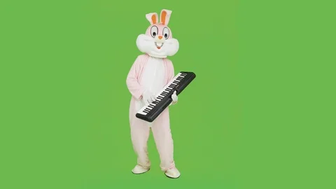 Man in adult giant bunny rabbit costume ... | Stock Video | Pond5