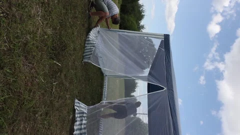 Film: Framed Woman Stock Videos – Royalty-Free HD & 4K Videos | Pond5