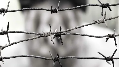 Man behind the barbed wire cries with hi... | Stock Video | Pond5